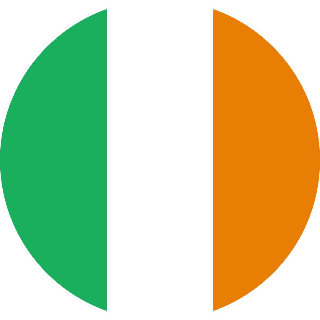 Rare language fact file: Shelta | The Language Shop